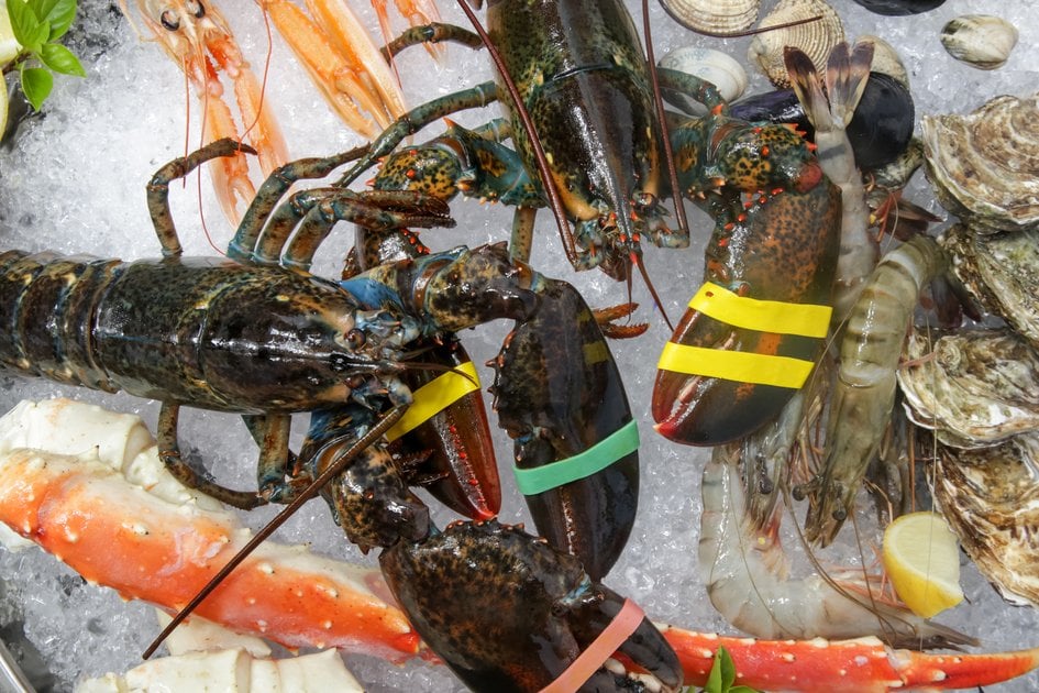 Sign the petition to end live sales | Ban the live sales of decapod ...